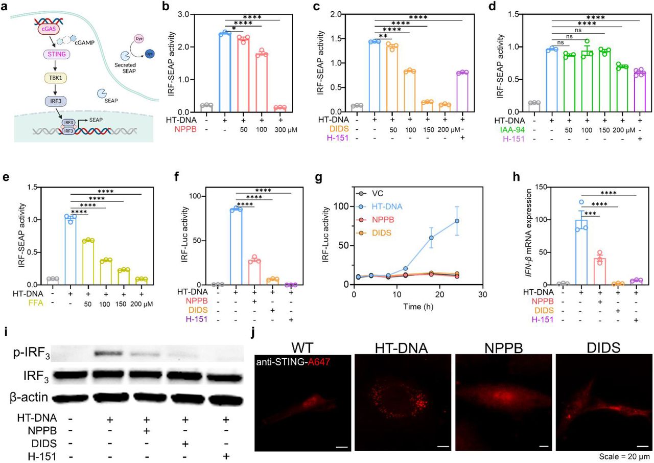 Human Dermal Fibroblasts Hdfs | ATCC | Bioz