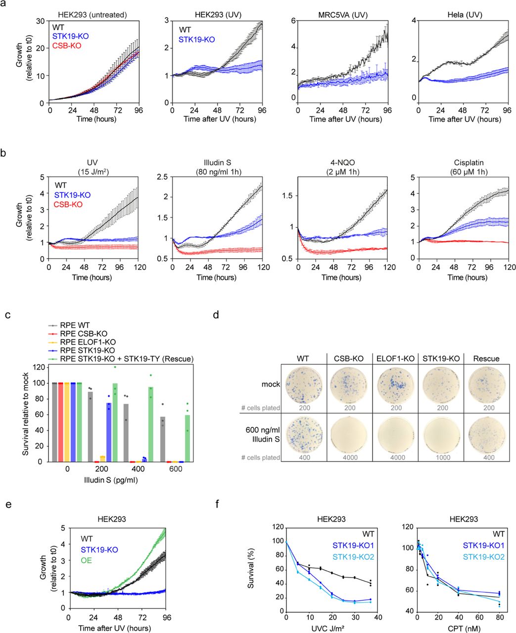 Celltiter Glo Luminescent Cell Viability Assay | Promega | Bioz