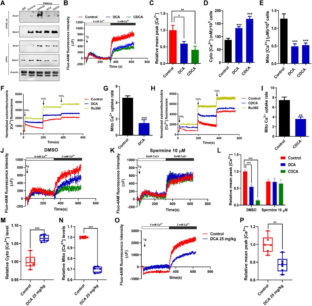 Calcium Probe | thermo fisher | Bioz