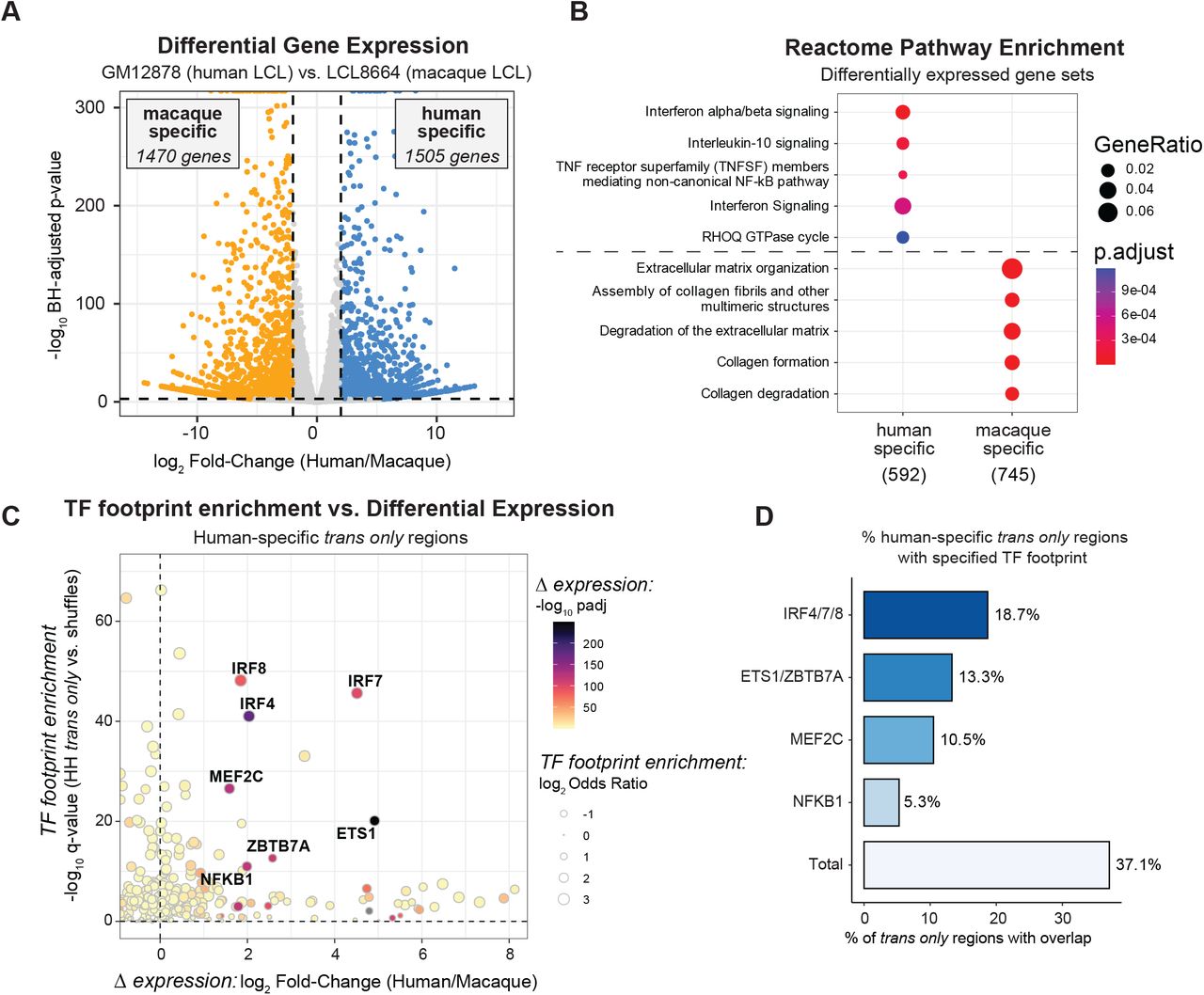 Gm12878 | ATCC | Bioz