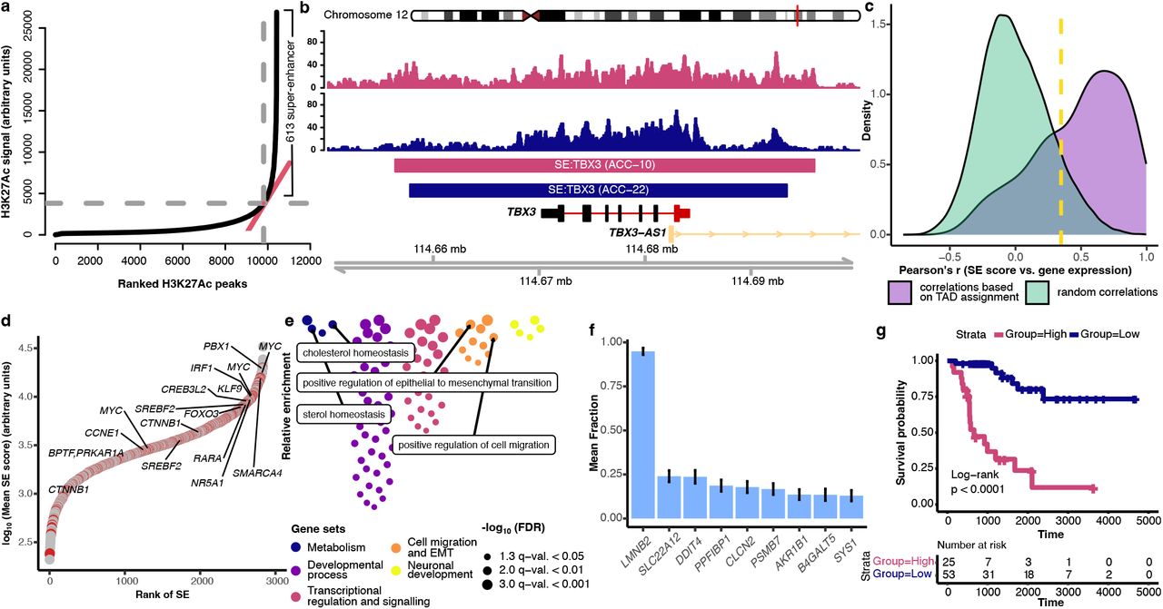 H3k27ac | Abcam | Bioz