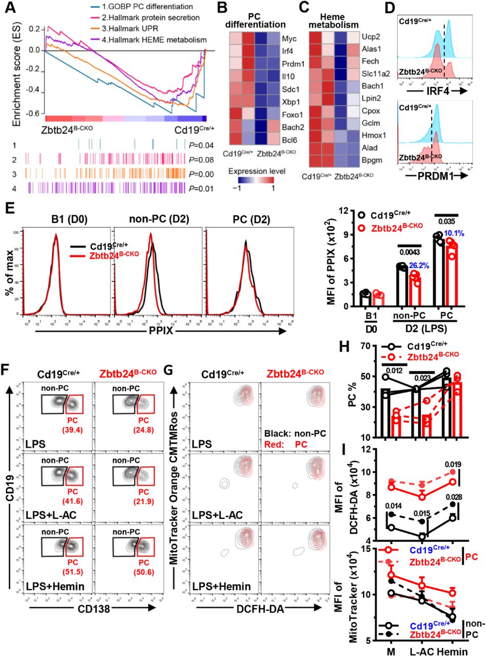 Mitotracker Orange | Thermo Fisher | Bioz