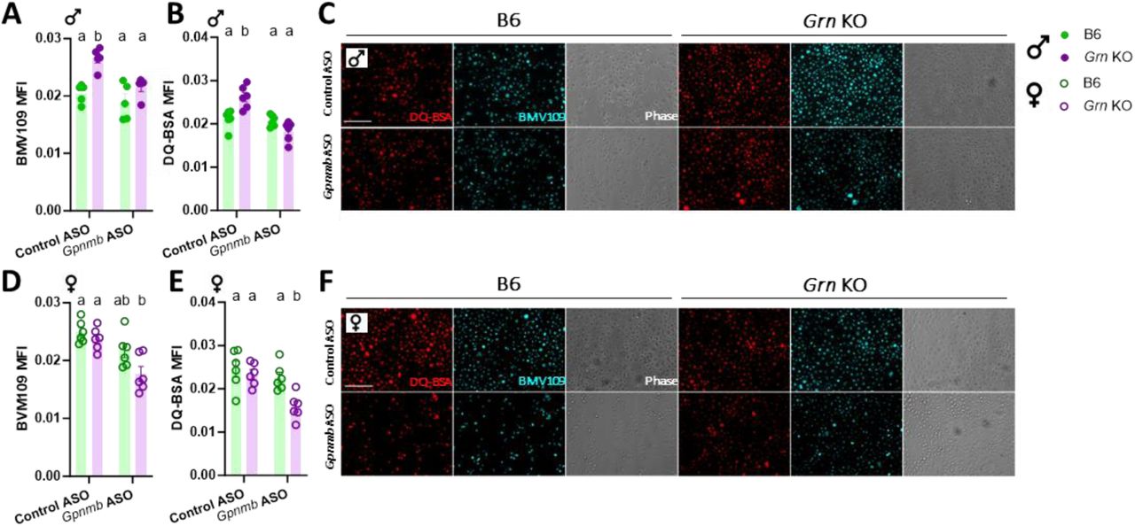 Dq Red Bsa | Thermo Fisher | Bioz