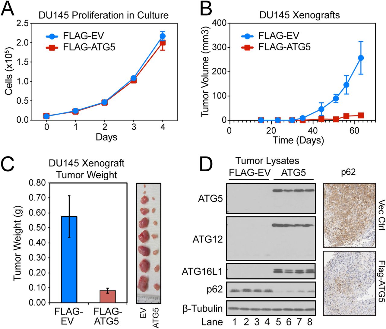 In Vivo Imaging System Ivis Spectrum | PerkinElmer | Bioz