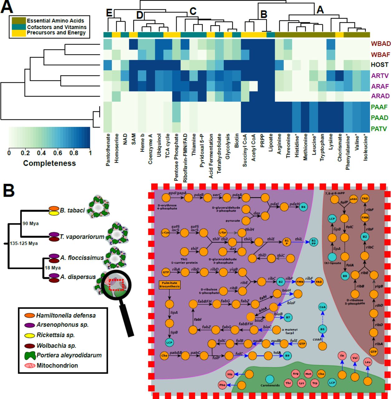 Wolbachia W Mel Strain Genome Ref | Bioz