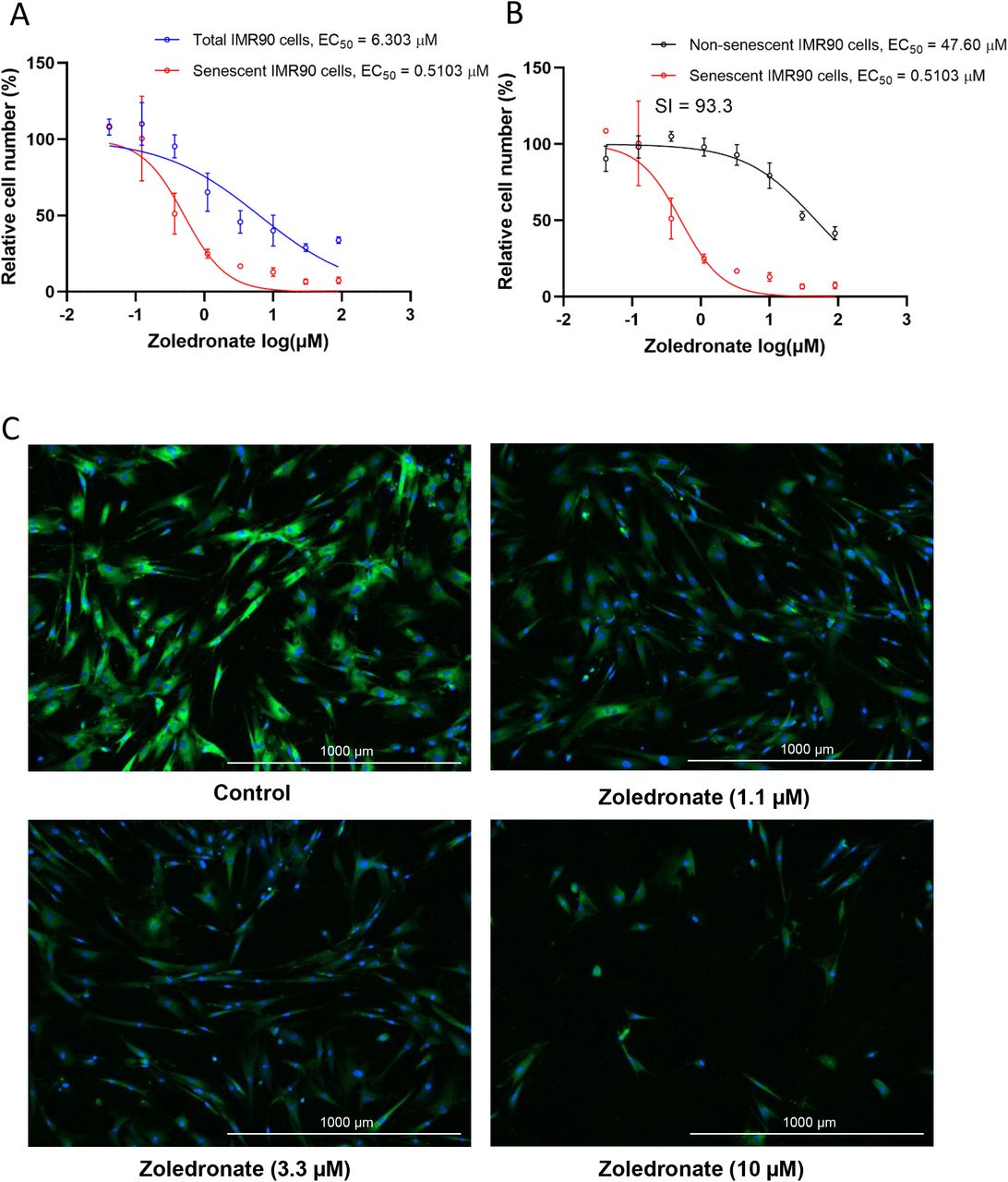 Imr90 Fibroblast Cells | atcc | Bioz