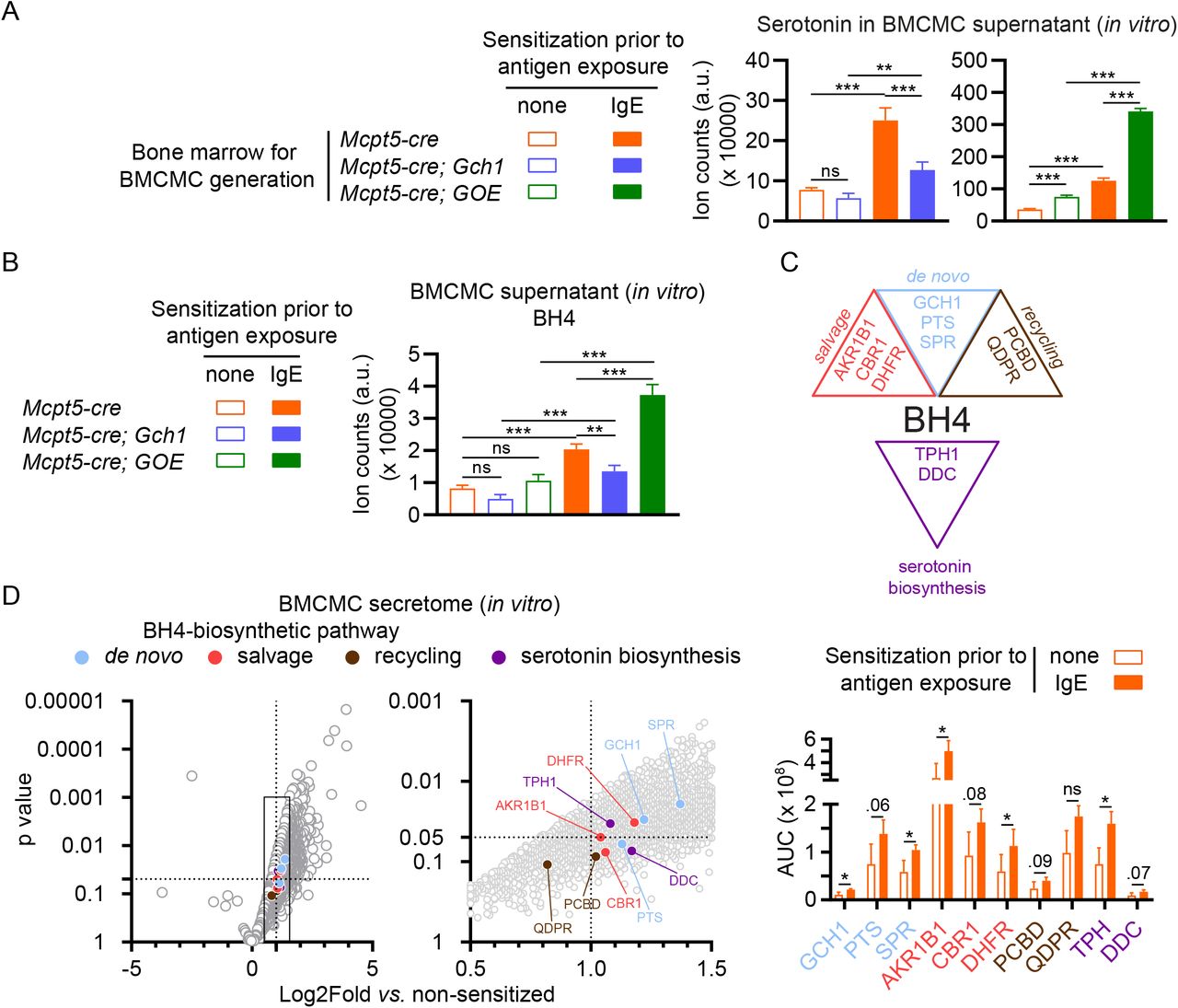 Gch1 Flox Mice | Jackson Laboratory | Bioz