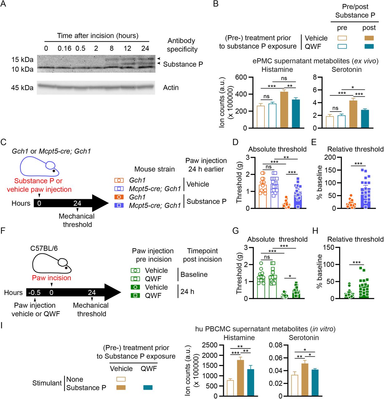 Gch1 Flox Mice | Jackson Laboratory | Bioz