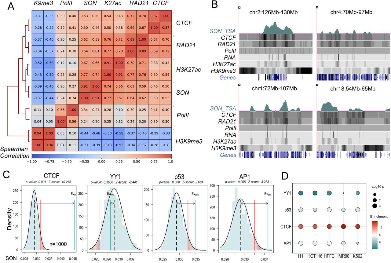 Imr90 Fibroblast Cells | atcc | Bioz