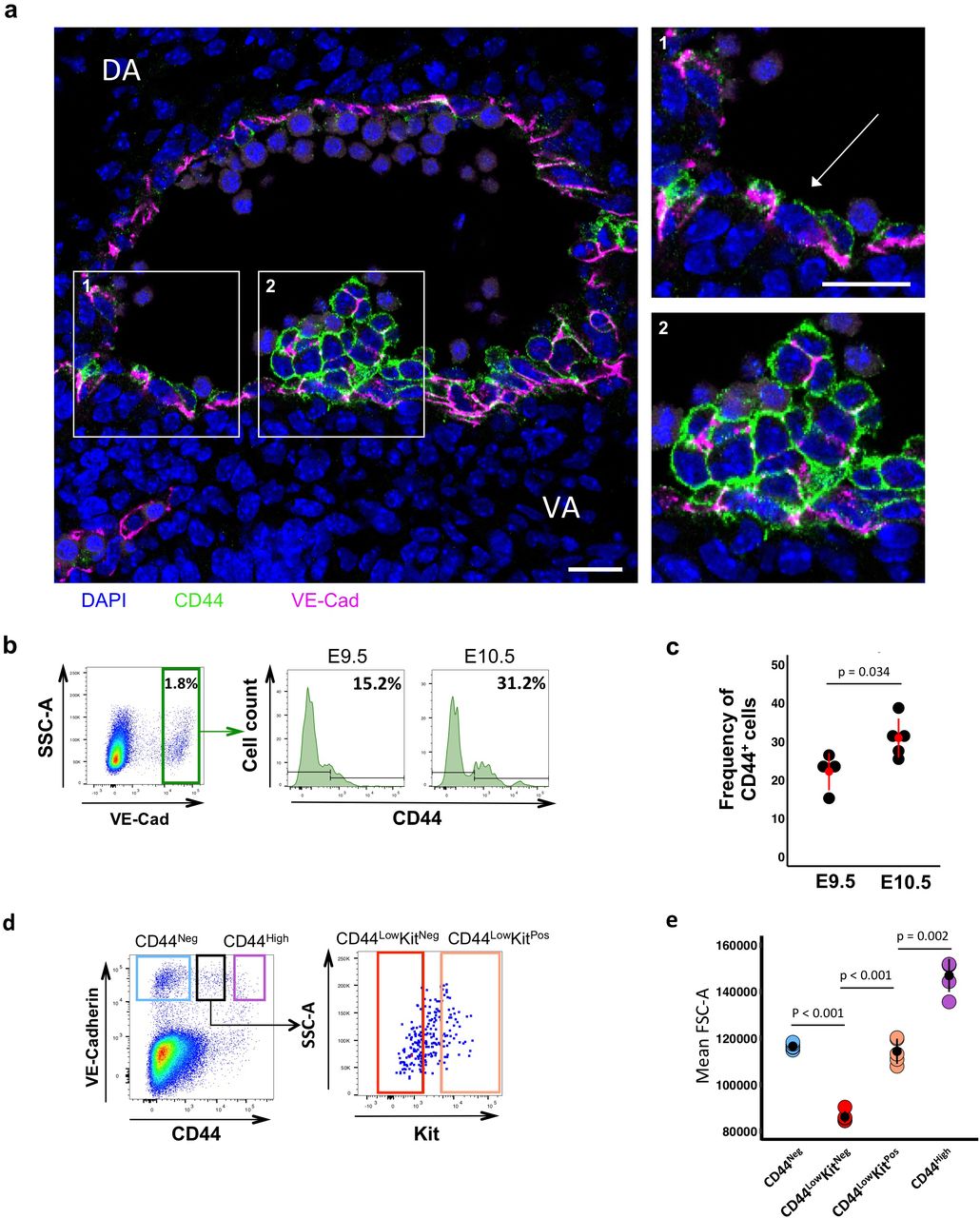 Ve Cad Cd44 High Cells | Abcam | Bioz