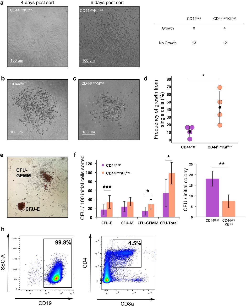 Ve Cad Cd44 High Cells | Abcam | Bioz
