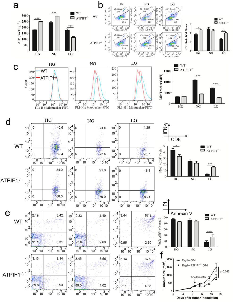 B16 Ova Melanoma Cells | ATCC | Bioz