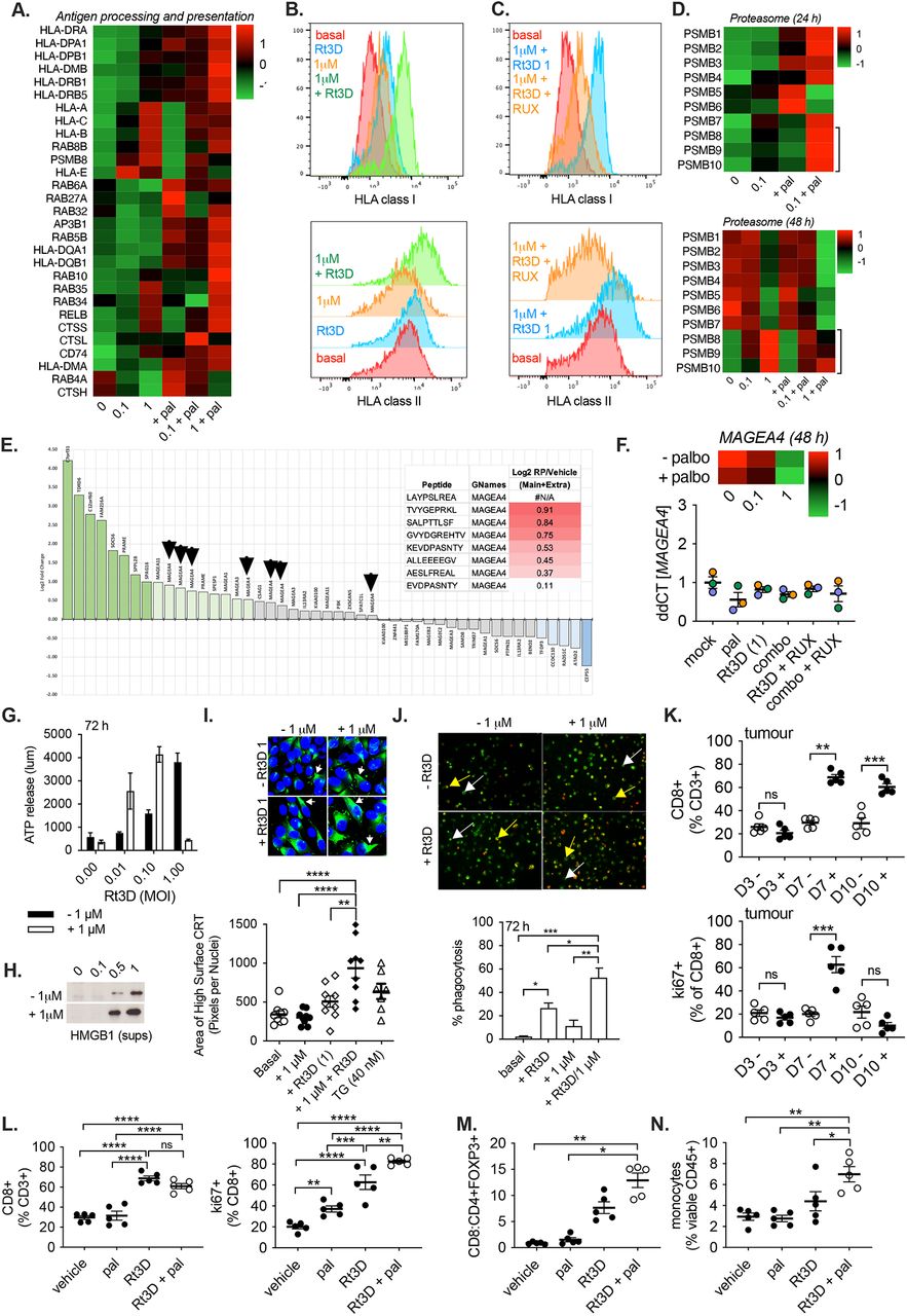 Fitc Conjugated Cd11b | Thermo Fisher | Bioz