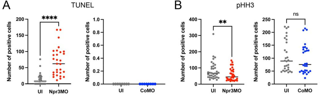 Phh3 | Upstate Biotechnology Inc | Bioz