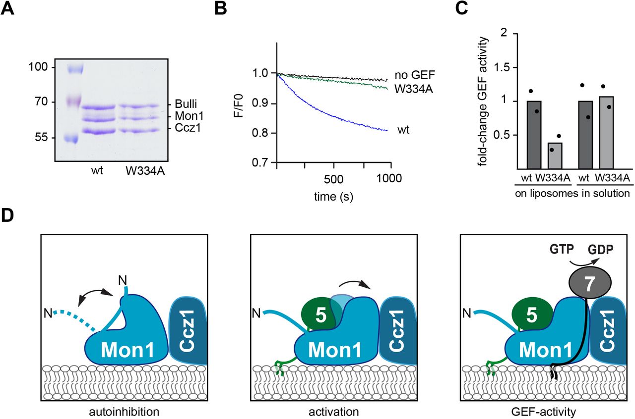 Mant Gdp | Jena Bioscience | Bioz