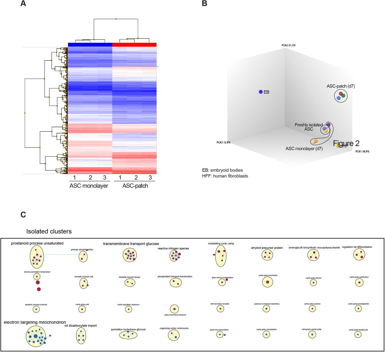 Rat Microarray | Thermo Fisher | Bioz