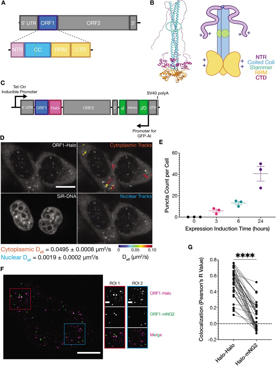 Halo Ligand Jf646 | Promega | Bioz