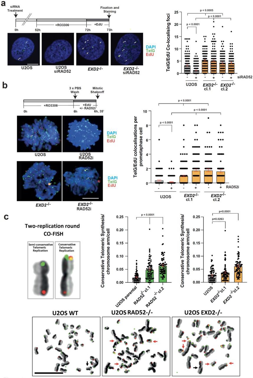 Ro 3306 | sigma aldrich | Bioz