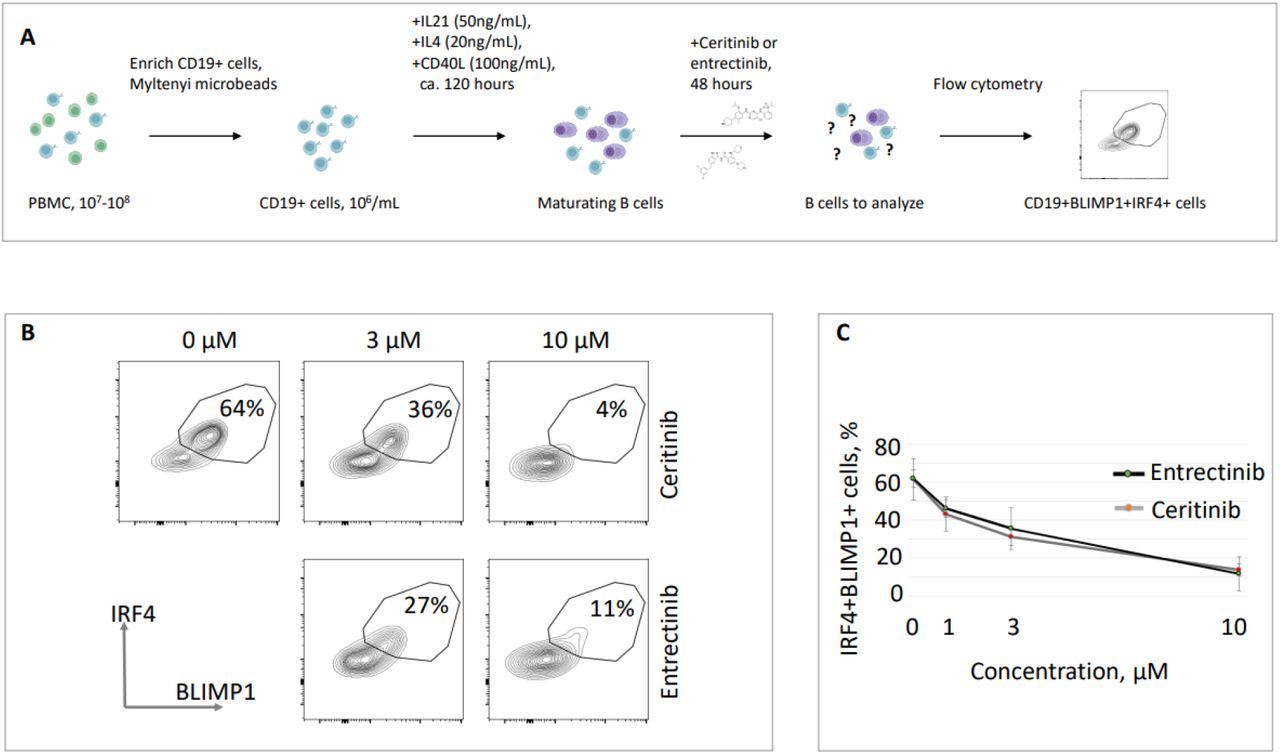 Flow Cytometry Analyses | Thermo Fisher | Bioz