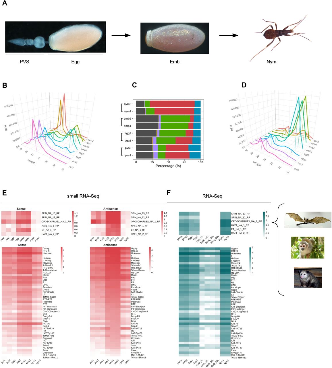 Truseq Small Rna Library Preparation Kit | Illumina Inc | Bioz