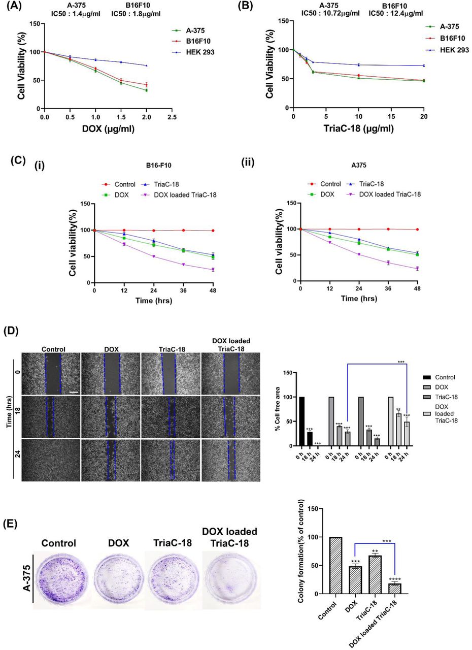 B16 F10 Cell Line | ATCC | Bioz