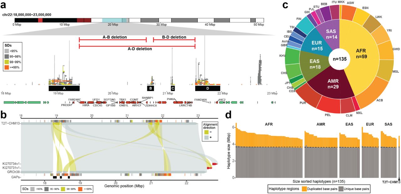 22q11 2ds Families | Oxford Nanopore | Bioz