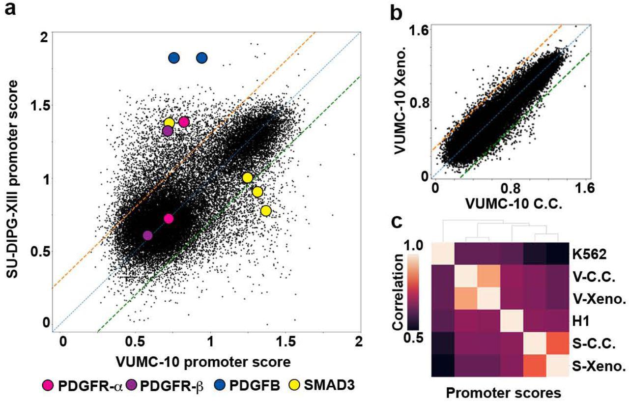 Su Dipg Xiii Cell Lines | Millipore | Bioz