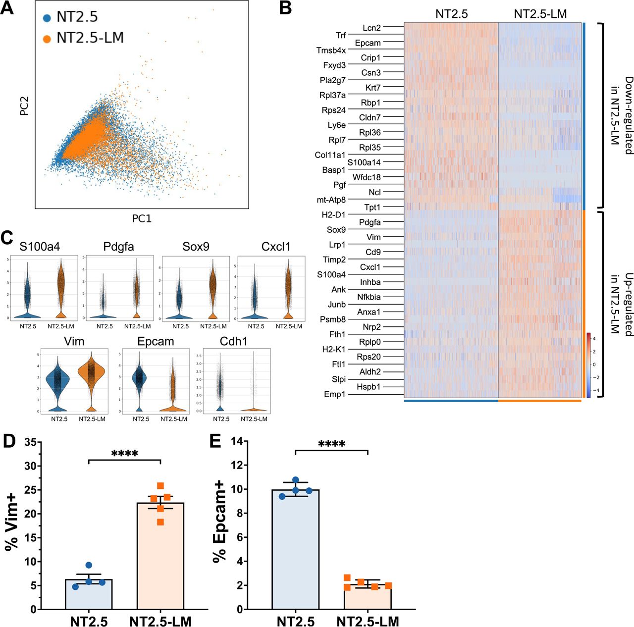 Anti Epcam | Cell Signaling Technology Inc | Bioz
