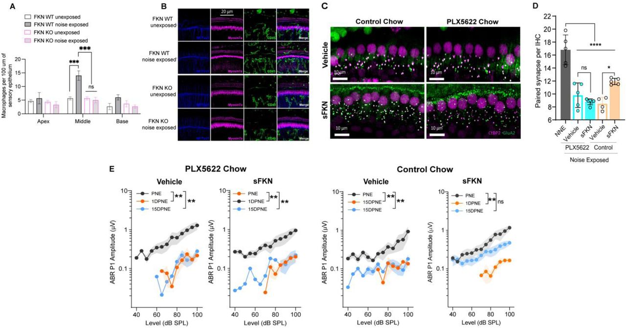 Plx5622 | research diets inc | Bioz