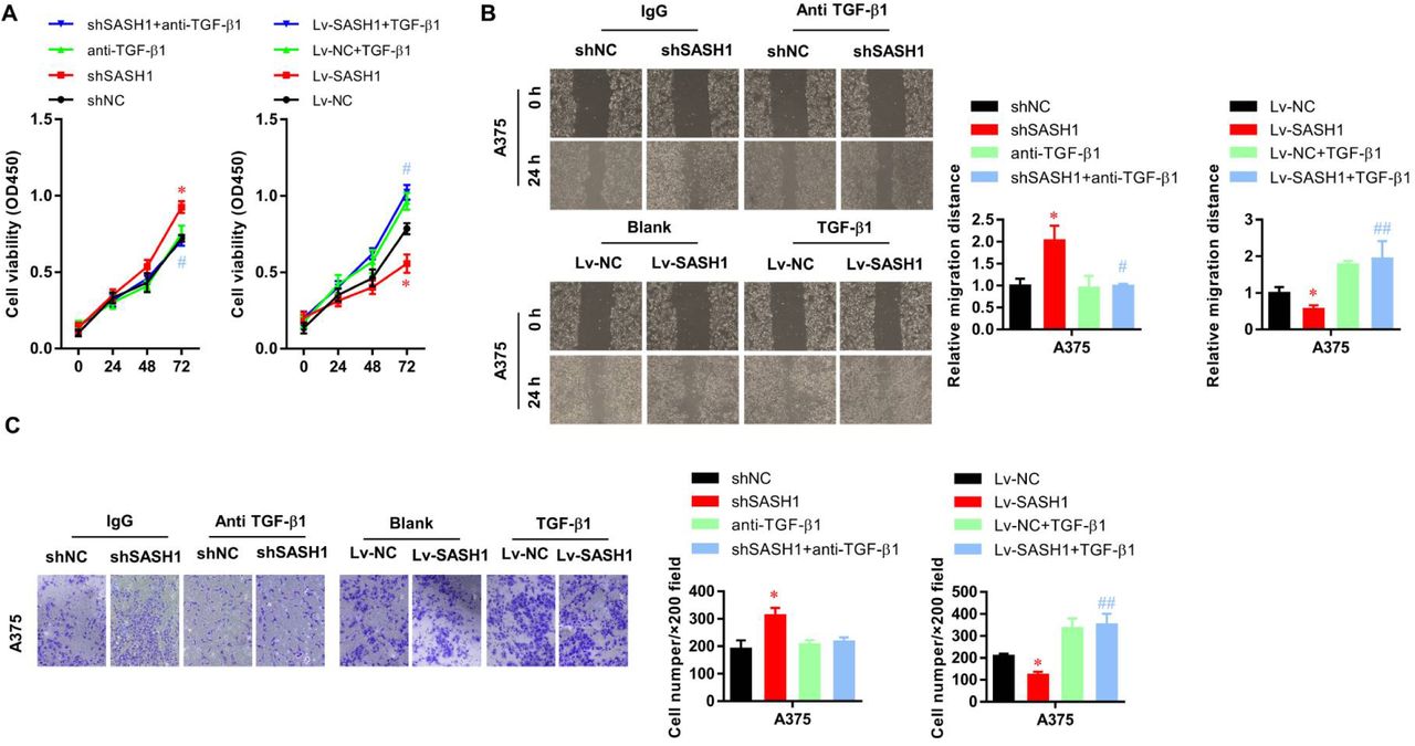 Human Melanoma Cell Lines | ATCC | Bioz