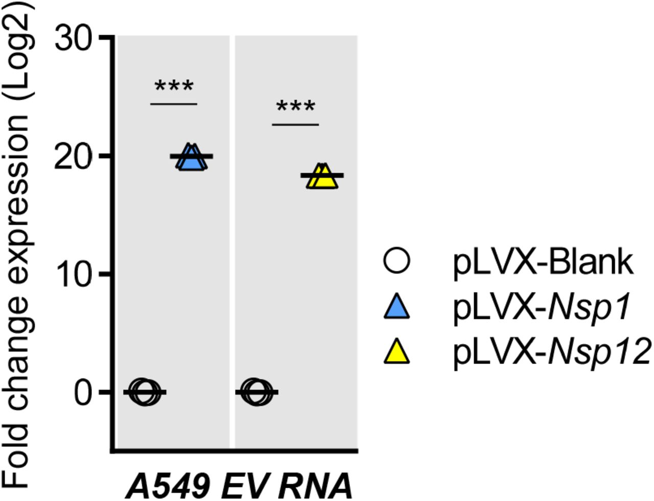 Exosome Human Cd63 Isolation Detection Reagent | Thermo Fisher | Bioz