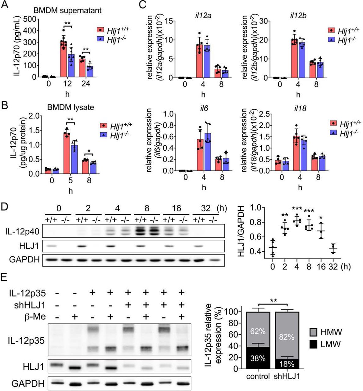 Il 12p35 Plasmid Dna | Thermo Fisher | Bioz