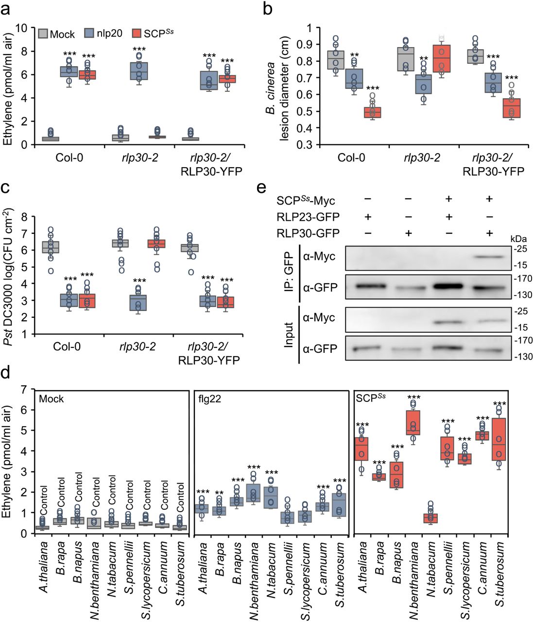 Synthetic Flg22 Peptide | GenScript | Bioz