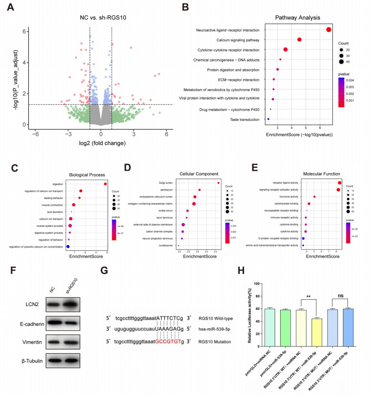 Human Breast Cancer Cell Line Skbr3 | ATCC | Bioz