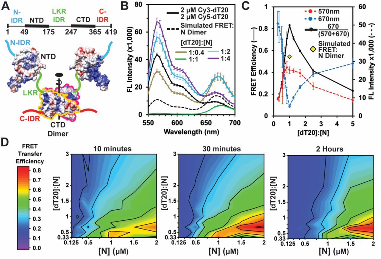 Cy3 | Integrated DNA Technologies | Bioz