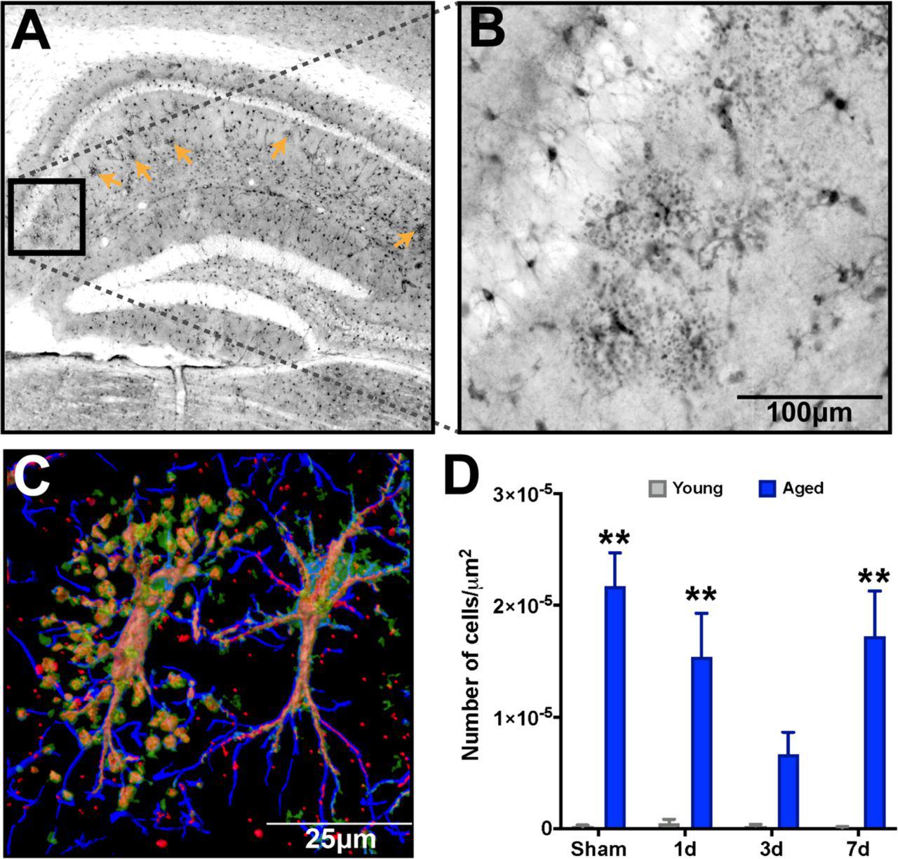 S100b | Agilent technologies | Bioz