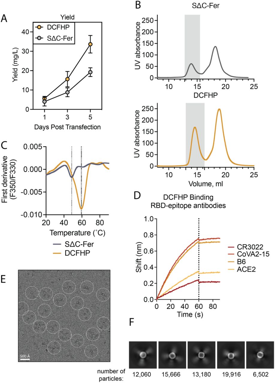 Transfection Mixtures | Polyplus-transfection SA | Bioz