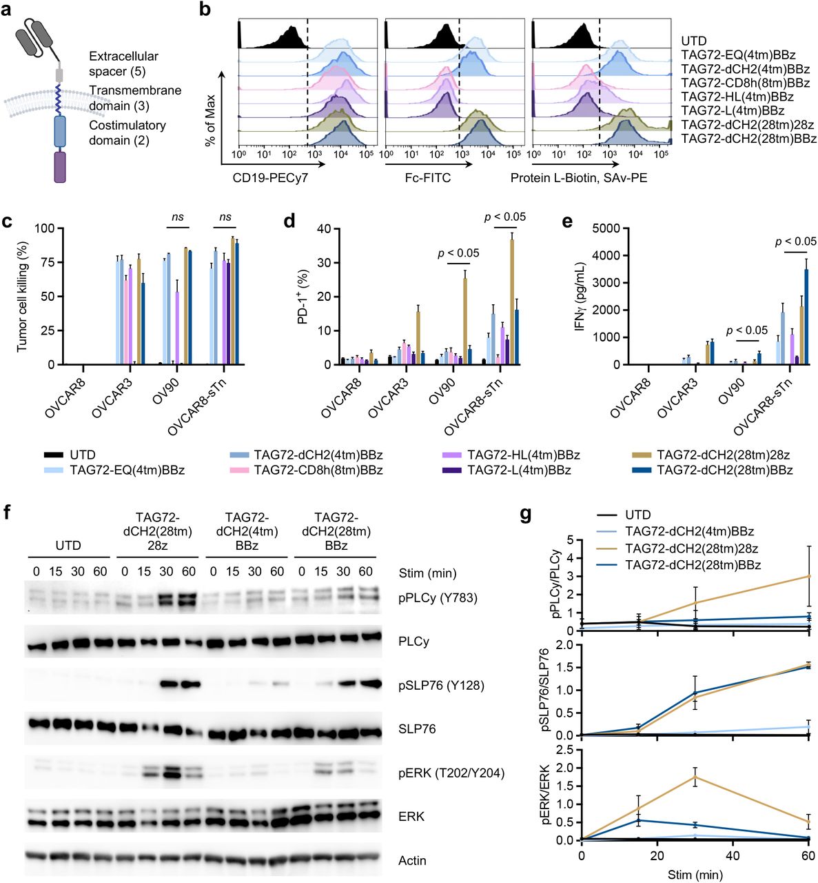 Nih Ovcar3 | ATCC | Bioz