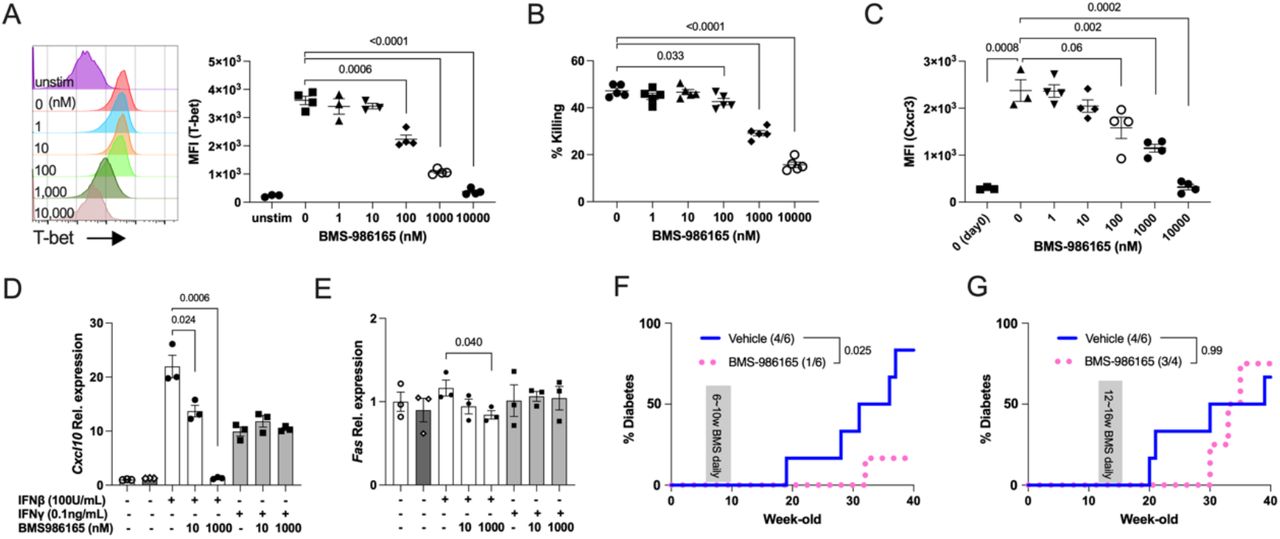 Cd8 T Cells | Miltenyi Biotec | Bioz