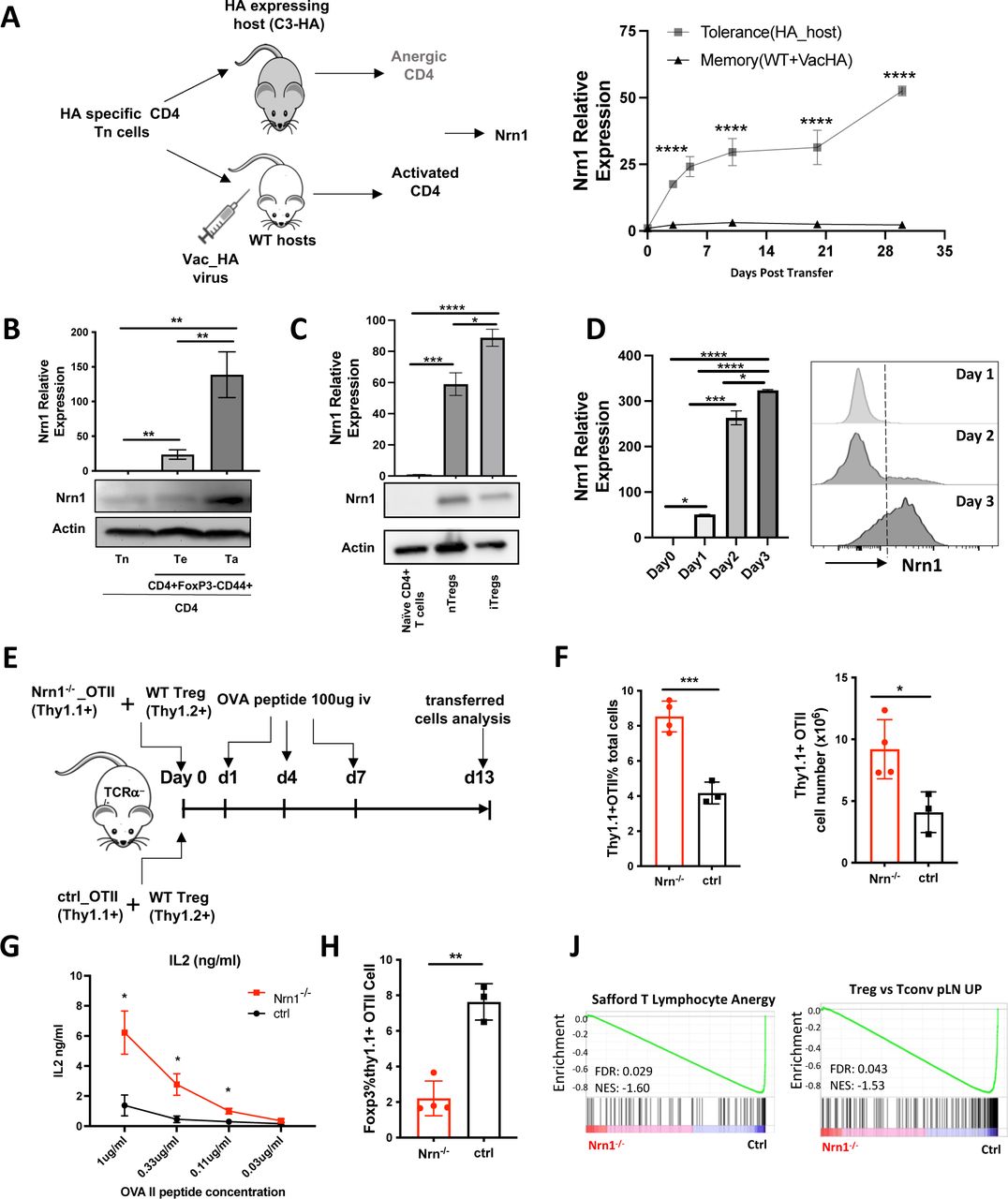 Cd4 Cd25 Regulatory T Cell Isolation Kit | Miltenyi Biotec | Bioz