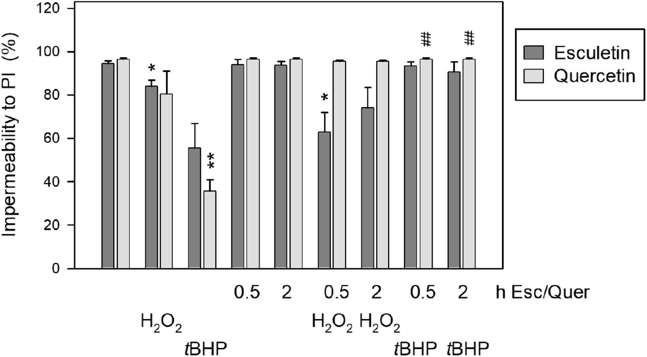 Nb4 Cells | ATCC | Bioz