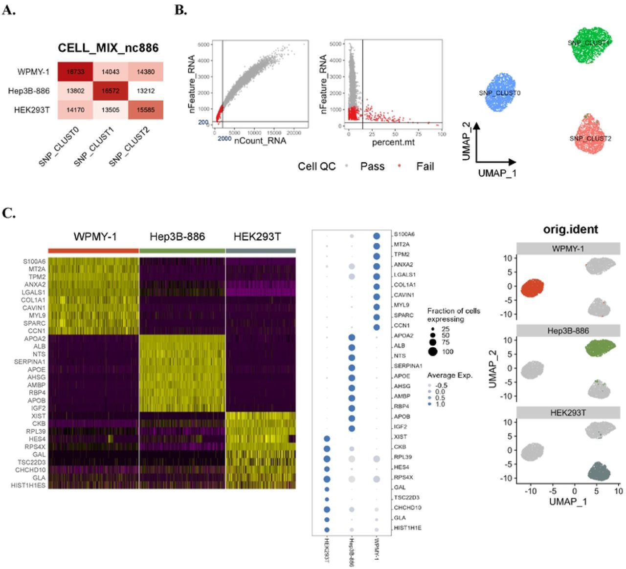 Hep3b Cells | ATCC | Bioz