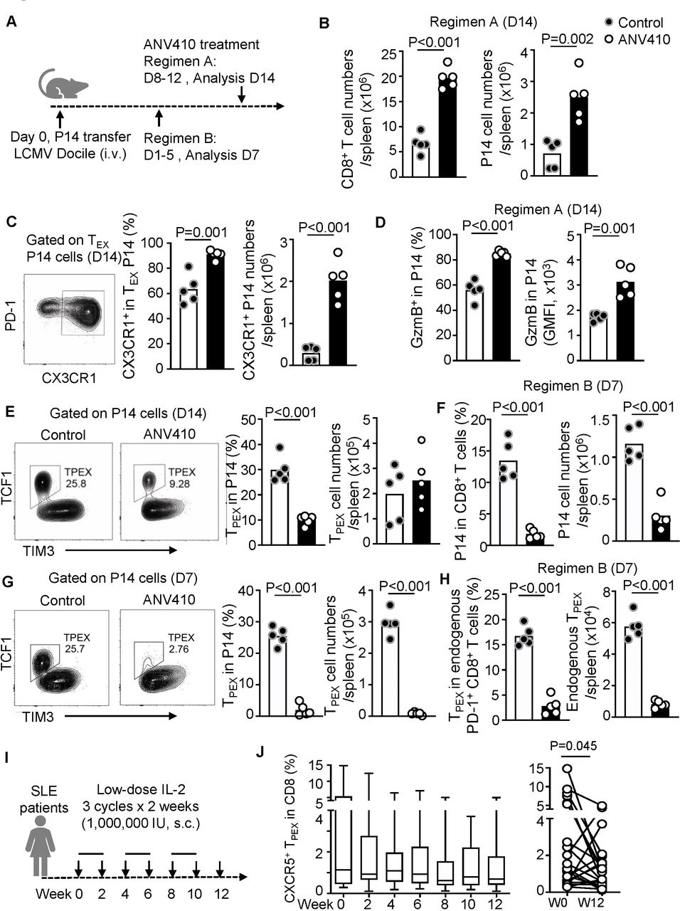 P14 Mice | The Jackson Laboratory | Bioz