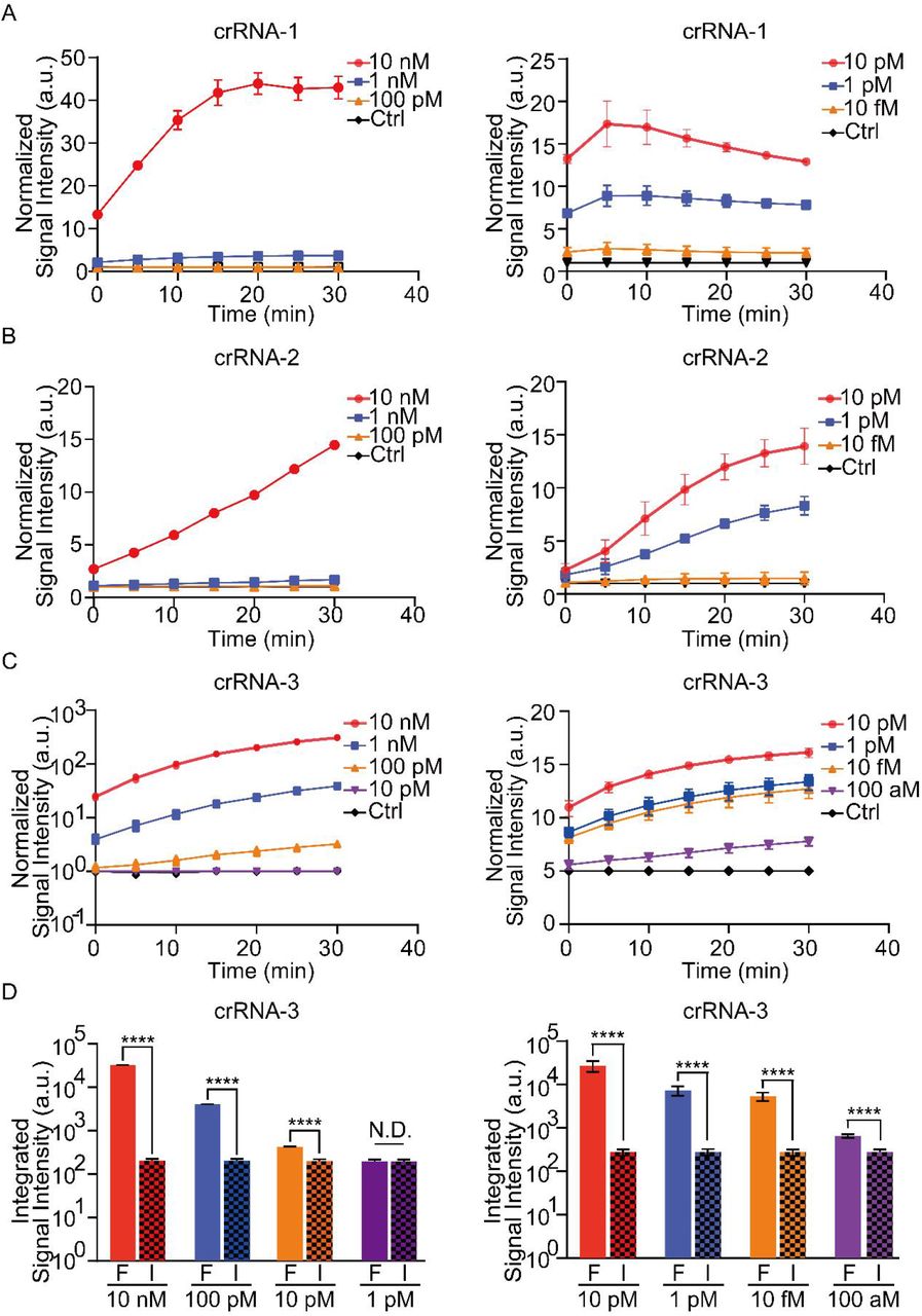 Cas12a Protein | New England Biolabs | Bioz
