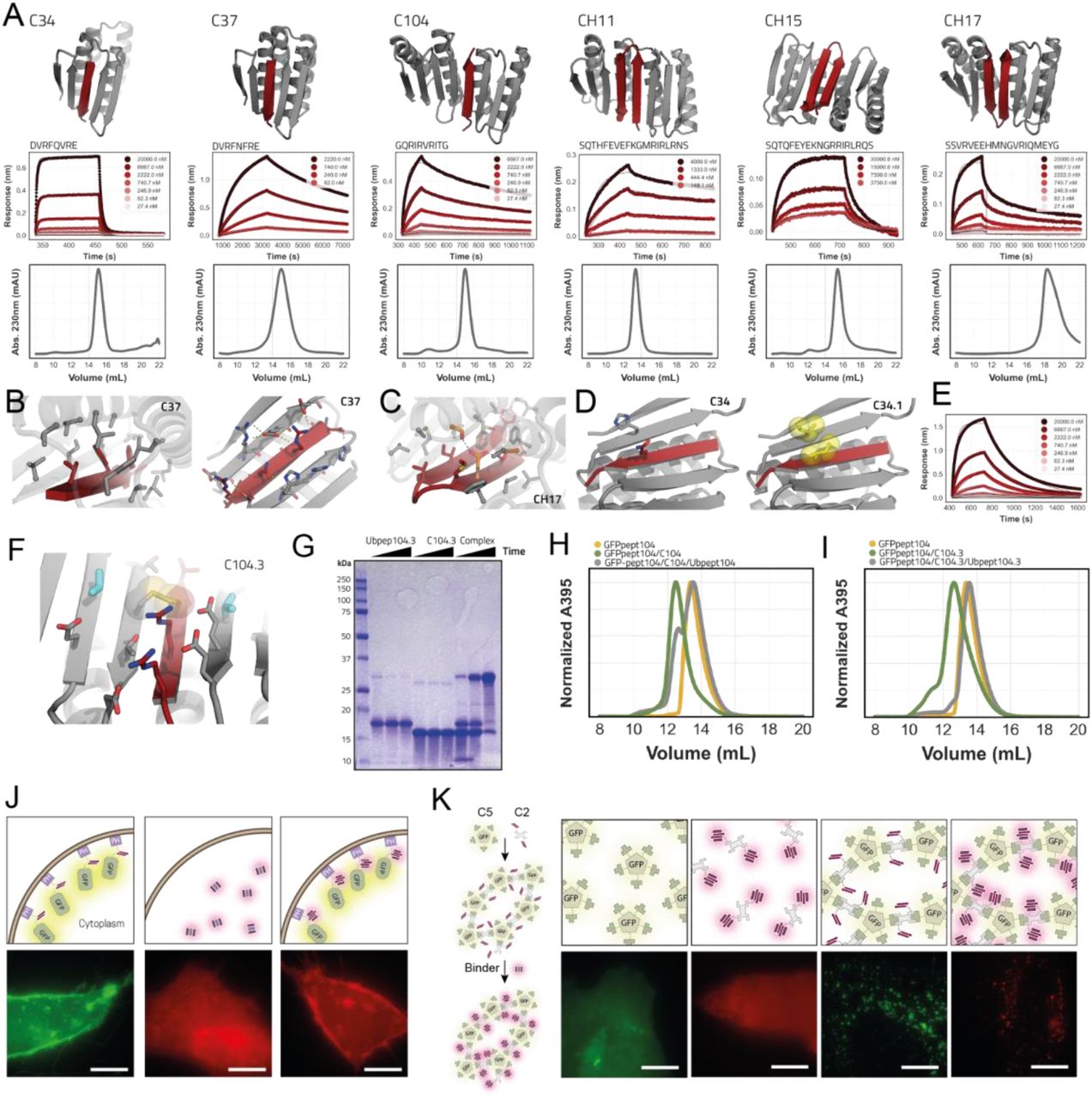 Superdex S75 Increase 10 300 | GE Healthcare | Bioz