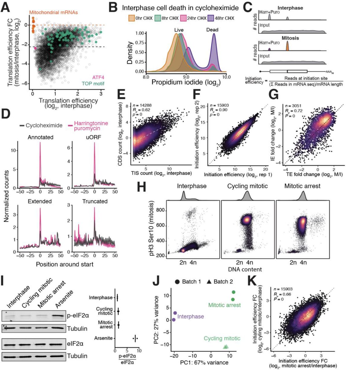 Anti Phospho Ser10 Histone H3 | Cell Signaling Technology Inc | Bioz