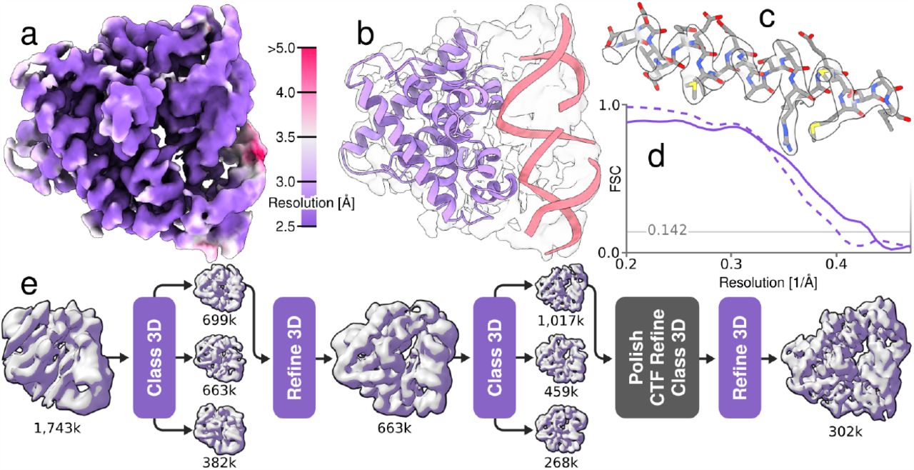 Nucleic Acid Protein Complexes | Thermo Fisher | Bioz