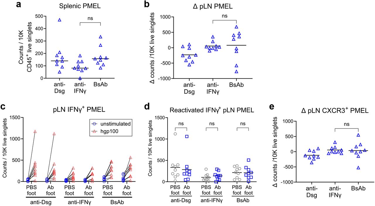 Thy1 1 Pmel Tcr Transgenic Mice | The Jackson Laboratory | Bioz