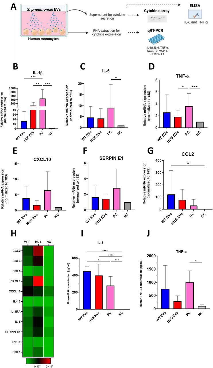 Tnf α Elisa Kits | ImmunoTools | Bioz