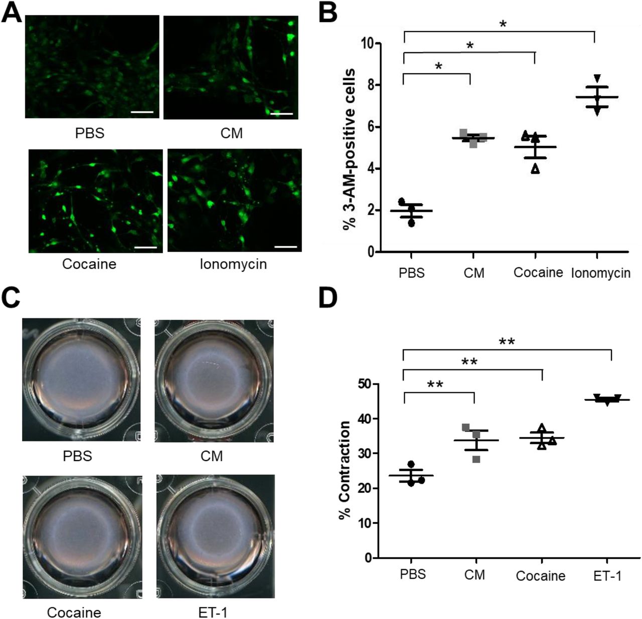 Fluo 3 | Thermo Fisher | Bioz
